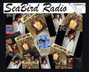 Seabird Radio Special – November 22nd, 2020 - The Official Website of ...